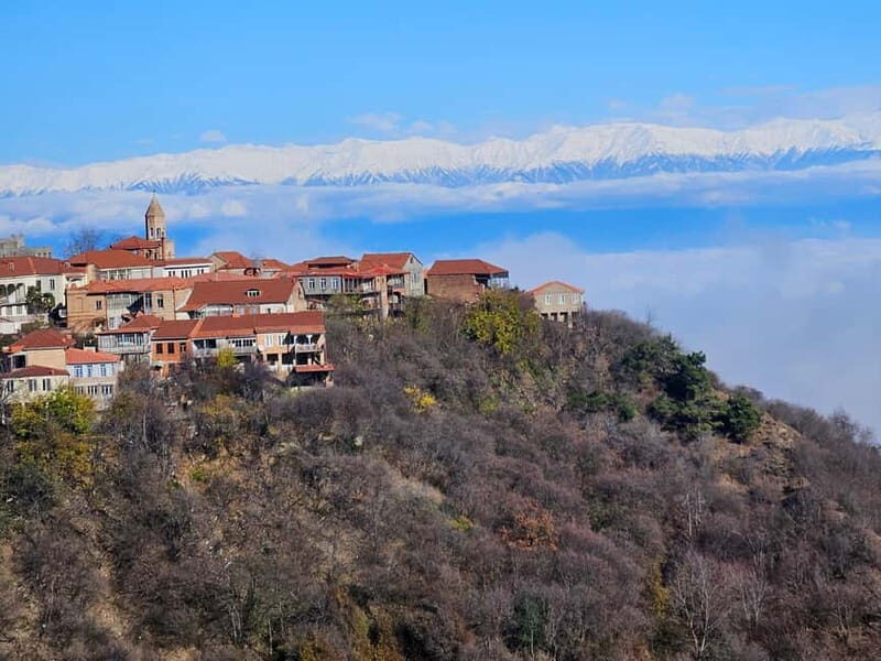 One-day tour in Kakheti with a guide and free wine tasting - Frequently Asked Questions