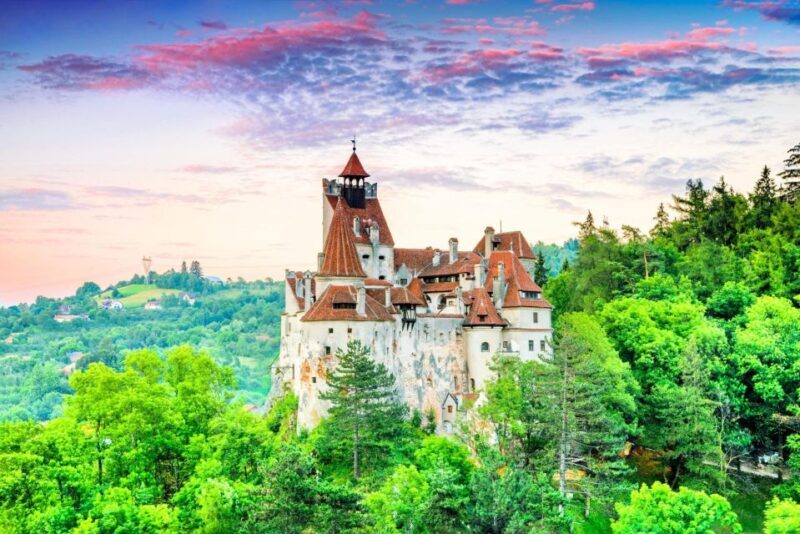 One day trip Bear Sanctuary, Dracula Castle - Key Points