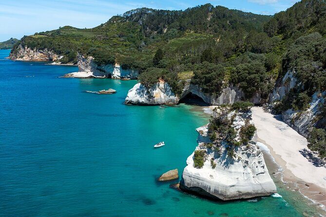 One Hour Cathedral Cove Boat Tour in Hahei - The Itinerary Breakdown