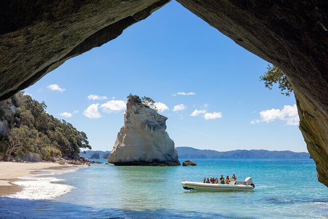 One Hour Cathedral Cove Boat Tour in Hahei - Meeting Point and Practical Info