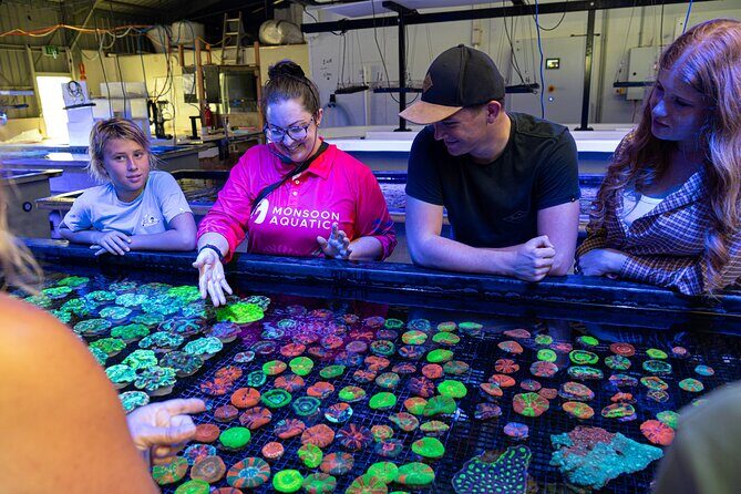 One Hour Coral Farm Tour, Discover Australia's Marine Life - Detailed Review of the Coral Farm Tour