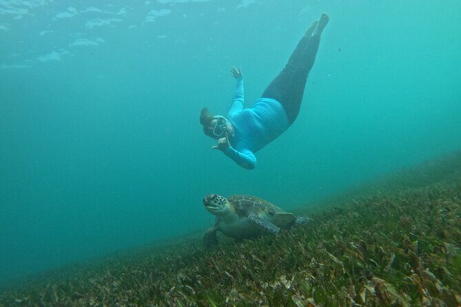 One on One Snorkel Experience - Final Thoughts