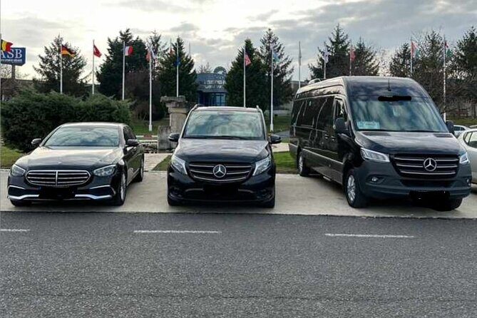 One Way Private Vip Transfer from Istanbul Airport to City Center - In-Depth Look at the Experience
