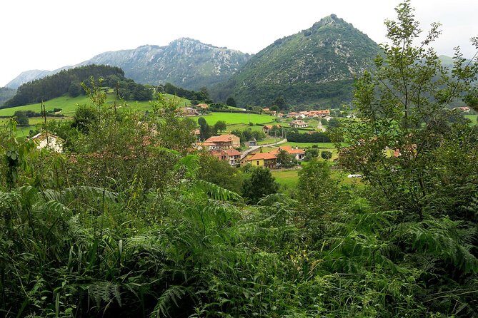 One Week Spanish Course At Your Tutor's Home In The North Of Spain - A Closer Look: What to Expect from This Spanish Experience