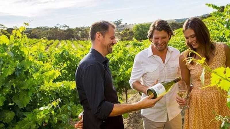 Ontario: Afternoon Wine Tour and Cheese Pairing - Authentic Reviews in Perspective