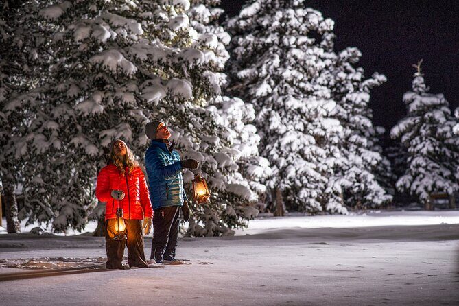 Open Fire Aurora Viewing and Snowshoeing Adventure in Whitehorse - Who Will Love This Tour?