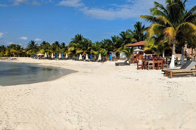 Open Top City Tour & Beach Break - An In-Depth Look at the Tour Experience