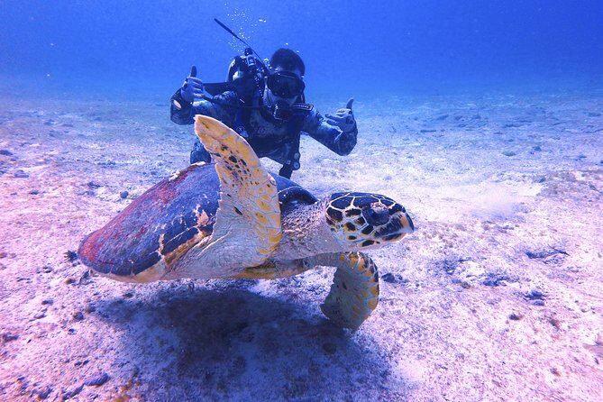 Open Water Certification Course-PADI - Final Thoughts