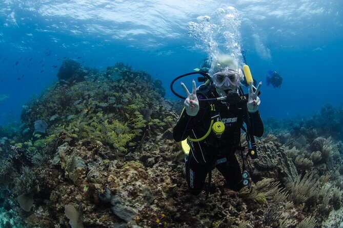 Open Water course Isla Mujeres - The Experience in Detail