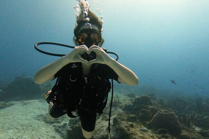 Open Water Diver Course - Why Choose the Open Water Diver Course in Cozumel?