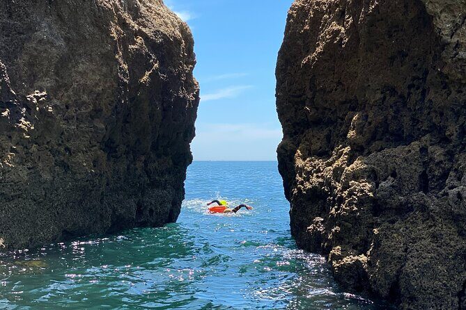 Open-Water Swimming in Algarve - The Authentic Edge: What Reviews Reveal