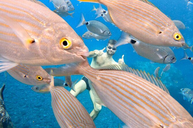 Open-Water Swimming in Madeira - The Sum Up: Who Will Love This Experience?