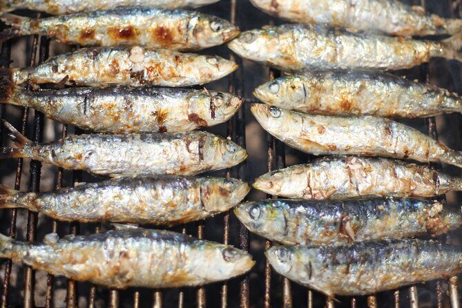 Ophelia Catamaran Cruises + Beach BBQ - FAQ