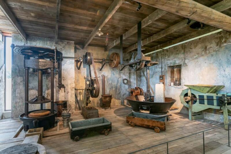 Oppède: Olive Oil Museum Visit - What Does the Tour Cover?