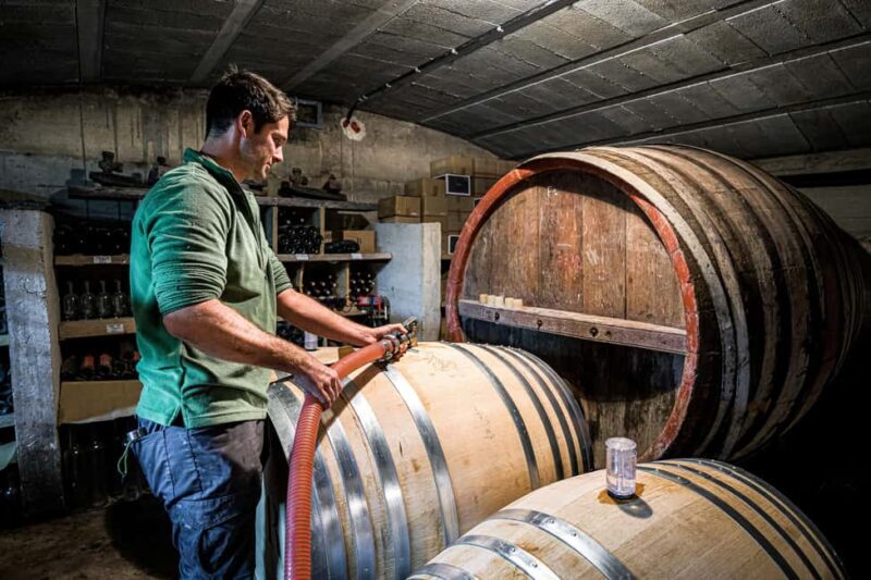 Oppède: Olive Oil Museum Visit - Is It Worth It?