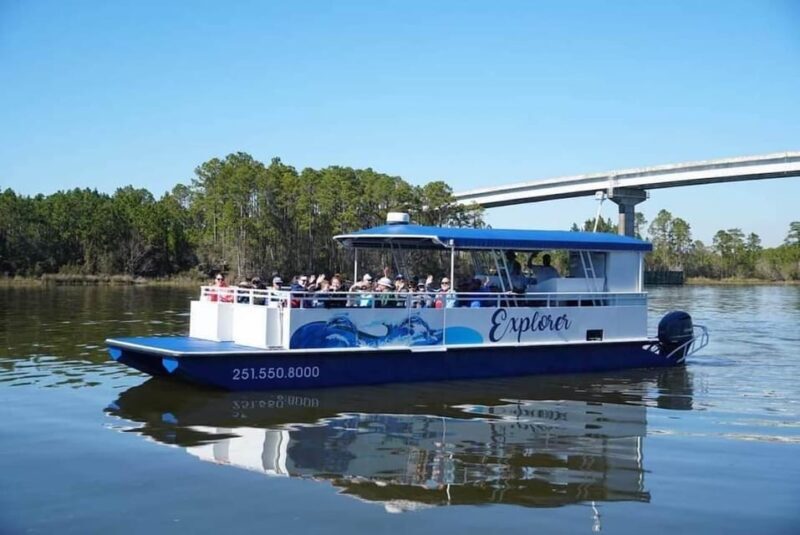 Orange Beach: Dolphin Eco Sunset Cruise aboard The Explorer - Final Thoughts: Is It Worth It?