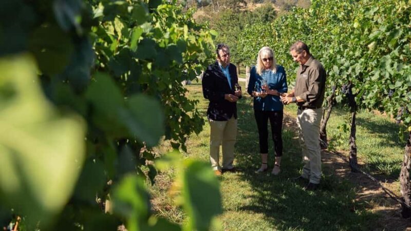 Orange: Indulge with Swinging Bridge - 5-Course Lunch & Tour - Why This Tour Offers Great Value