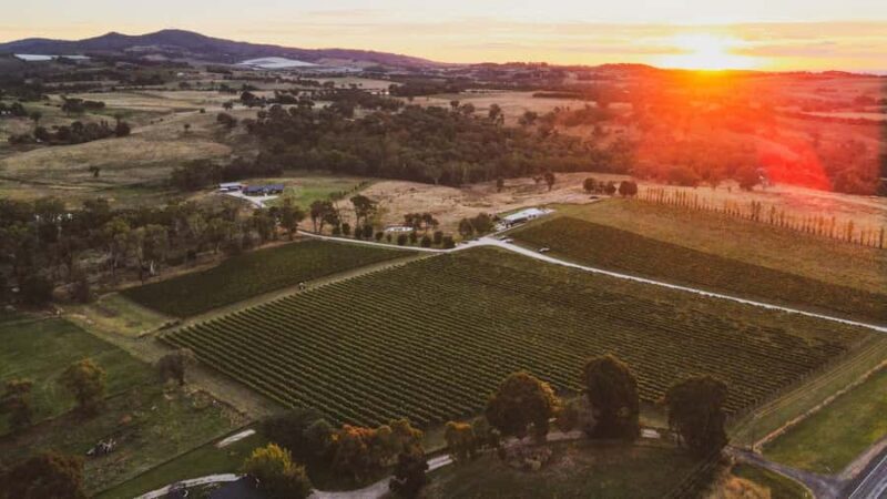 Orange: Indulge with Swinging Bridge - 5-Course Lunch & Tour - Practical Tips for Your Visit