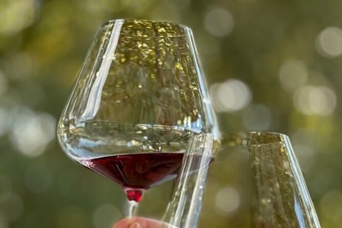 Orange Region Winery Experience by Onayi - An Honest Look at the Orange Region Winery Experience by Onayi