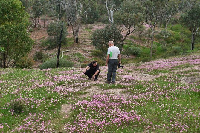 Orchids and Wildflowers Photographic Day tour from Perth - Is This Tour Right for You?