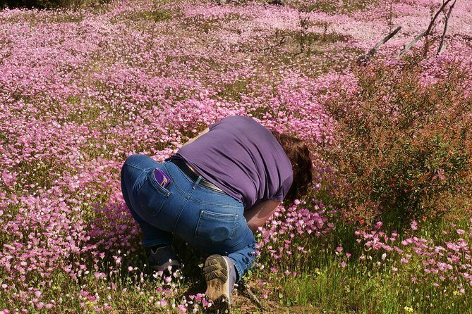 Orchids and Wildflowers Photographic Day tour from Perth - The Sum Up