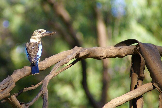 Ord River Cruise Experience with Riverside Lunch - A Balanced View: The Practicalities