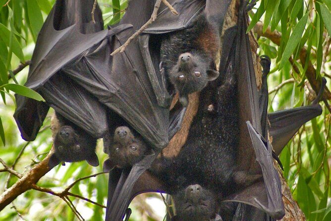 Ord River Explorer Cruise with Sunset - Final Thoughts