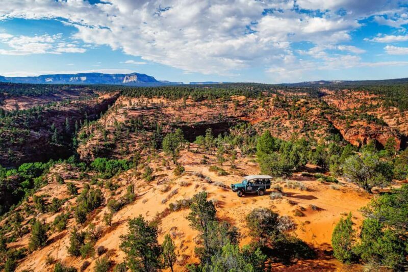 Orderville: Powell's Way Canyoneering & Rappelling Adventure - Key Points