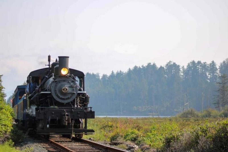 Oregon Coast: Scenic Railroad Excursion Along Coastline - The Train and Its Historic Charm