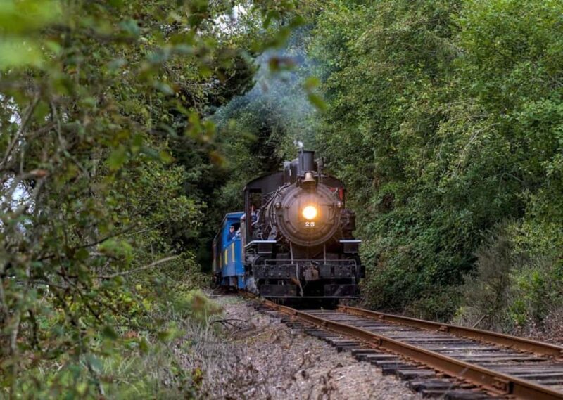 Oregon Coast: Scenic Railroad Excursion Along Coastline - The Cost and Its Value