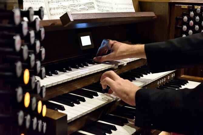 Organ Concert in the St. Stephen's Basilica - The Musical Program and Performers