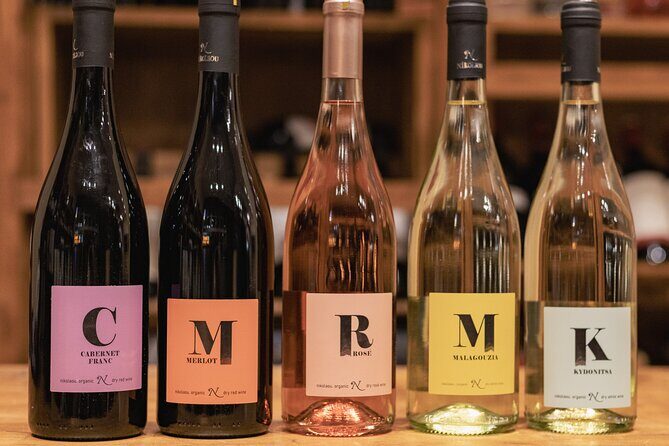 Organic and Vegan Indigenous Wine Tasting Private Experience - An Intimate Dive into Greek Organic & Vegan Wines