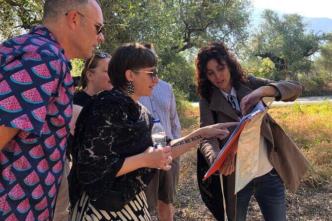 Organic Olive Grove tour & Olive oil tasting & lunch in Kalamata! - Key Points