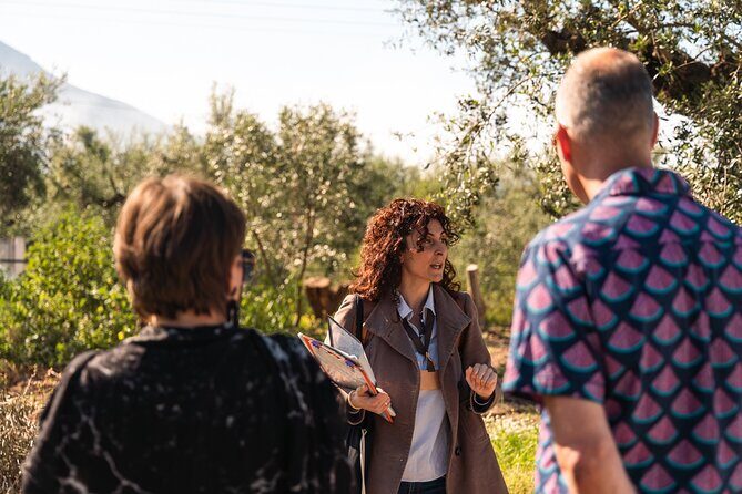 Organic Olive Grove tour & Olive oil tasting & lunch in Kalamata! - Who Will Love This Experience?