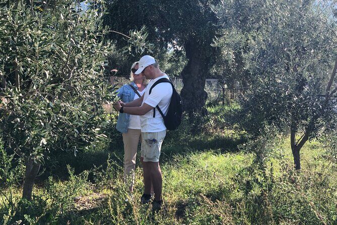 Organic Olive Grove tour & Olive oil tasting & lunch in Kalamata! - Frequently Asked Questions