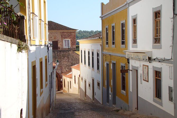 Organic Orange Picking & Jam Making with Farm-to-Table Lunch - Who Should Consider This Tour?