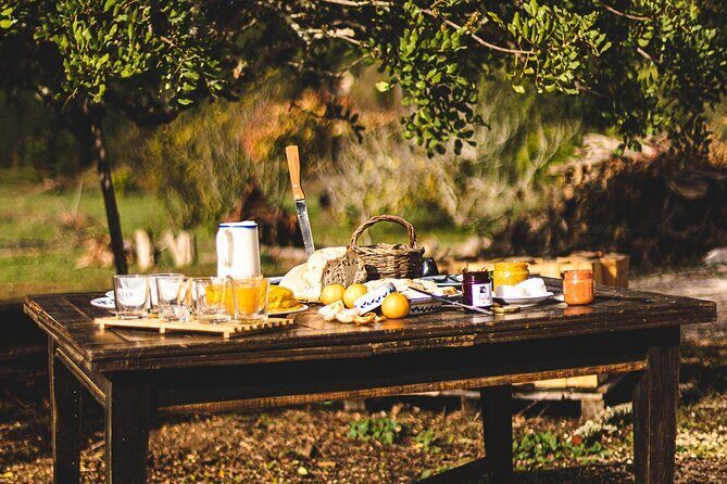 Organic Orange Picking & Jam Making with Farm-to-Table Lunch - The Sum Up