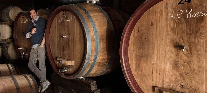 Organic Wine Tasting & Lunch Experience on Mt Vesuvius - The Sum Up  