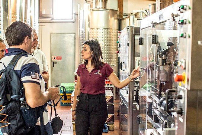 Organic Wine Tasting & Lunch on Vesuvius with Transfer from Sorrento Peninsula - The Experience in Detail