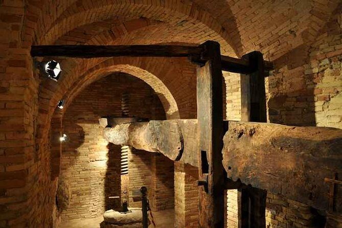 Organic Wine Tasting & tasting of EVO CantinArte OIL MUSEUM - Why This Tour Offers Great Value