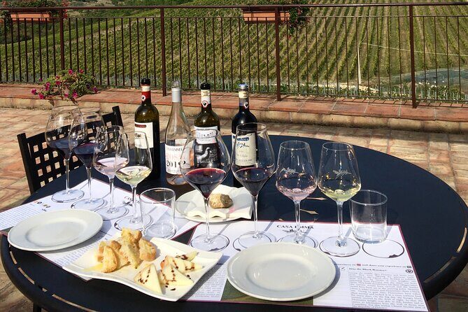 Organic Wine Tour&Tasting overlooking Chianti Classico Vineyards - Why This Tour Is Worth It