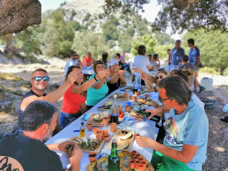 Orgosolo Experience: Murals and Culture with a typical Lunch - An In-Depth Look at the Itinerary and Highlights