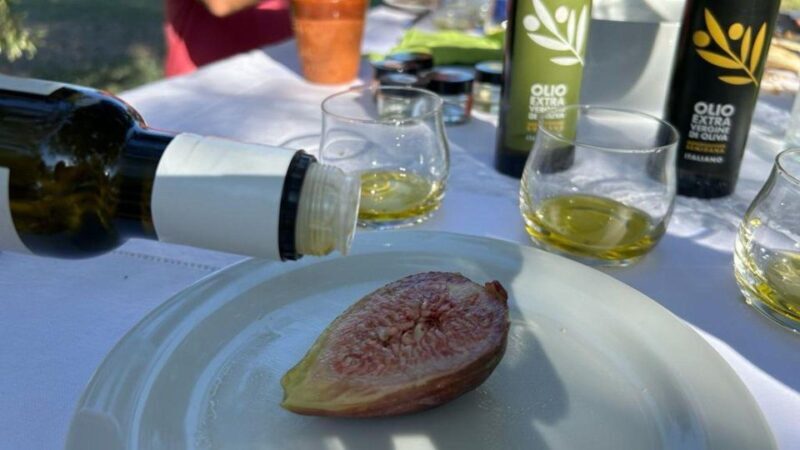 Oristano: Olive Tree Grove Guided Visit with Tasting - Practical Details & Tips