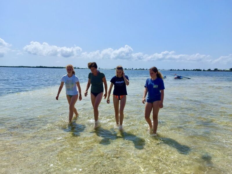 Orlando: Dolphin Clear Kayak or Paddle Board Adventure - Equipment and Instruction