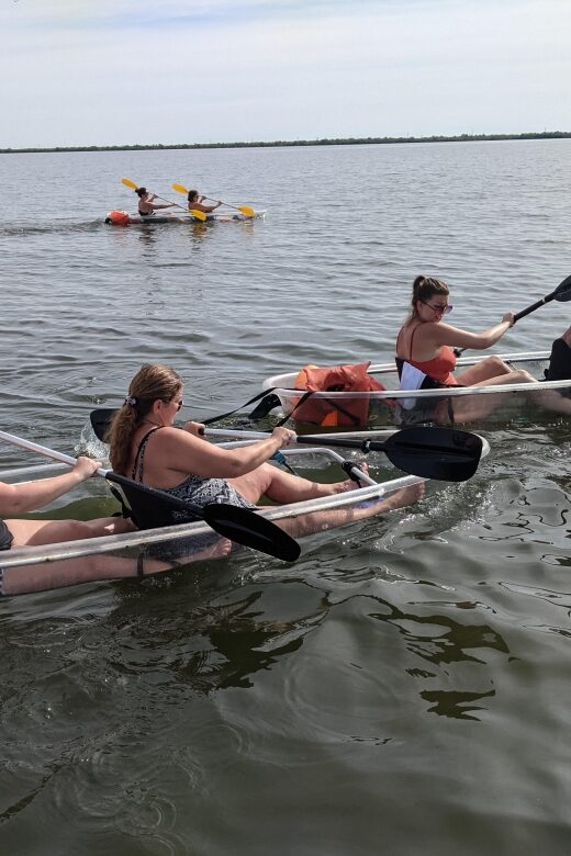 Orlando: Dolphin Clear Kayak or Paddle Board Adventure - Practical Details and Considerations