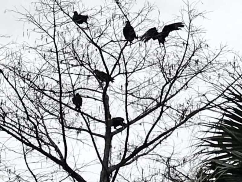 Orlando: Guided Ghost Tour - Final Word