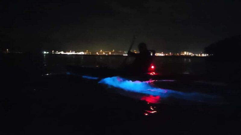 Orlando: Magic After Dark Bioluminescence Kayak Tour - The Sum Up