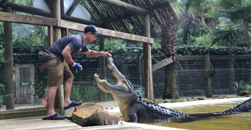 Orlando: Wild Florida Park Ticket and Gator Shows - Final Thoughts