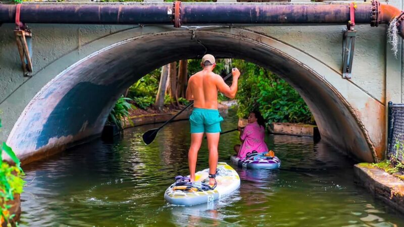 Orlando: Winter Park Paddle Adventure - Who Will Love This Experience?