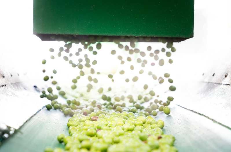 "Oro Bailén": Explore the Oil Mill + Tasting - An In-depth Look at the Oro Bailén Experience